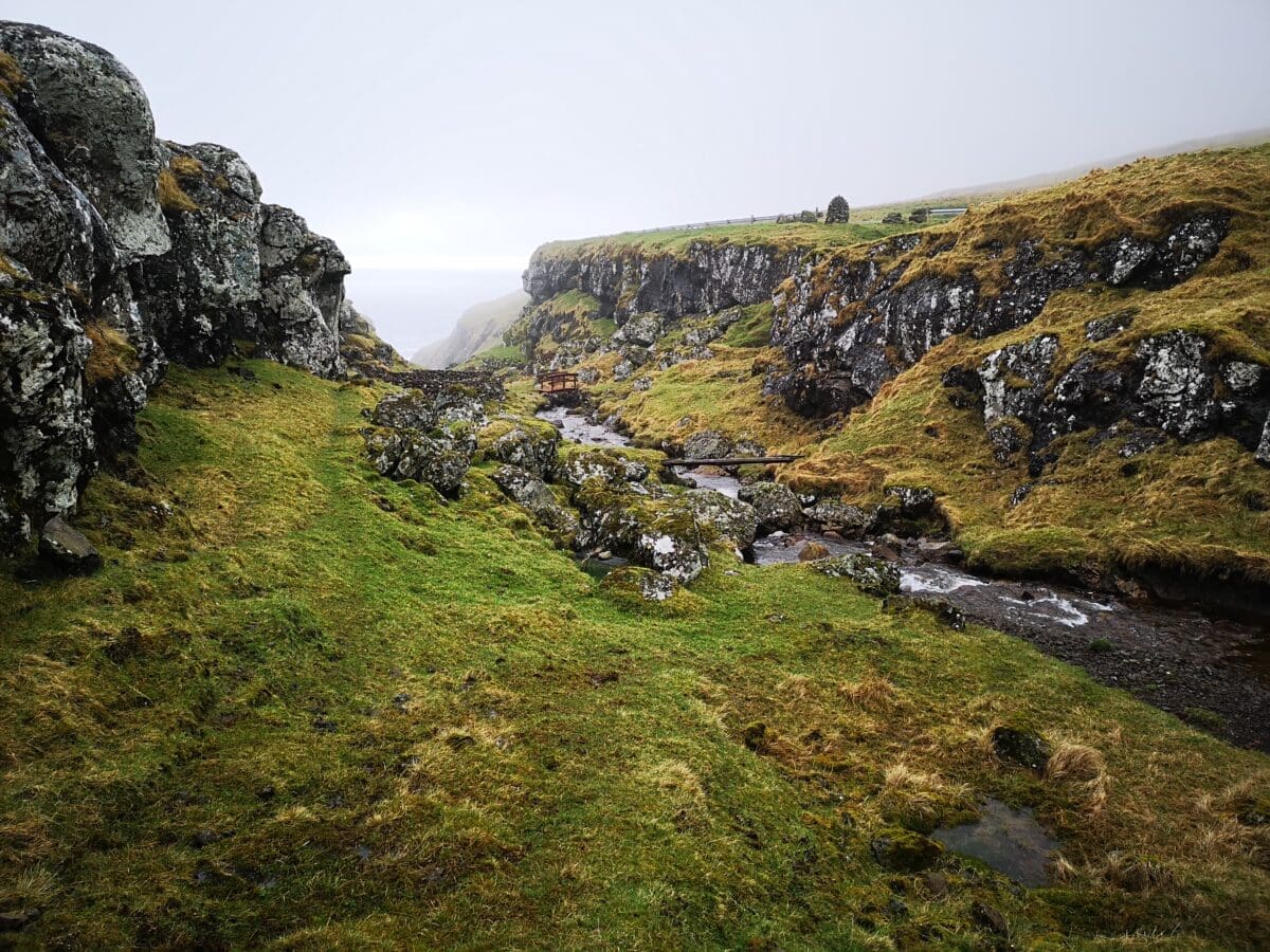 At síggja í nærumhvørvinum - Visit Torshavn